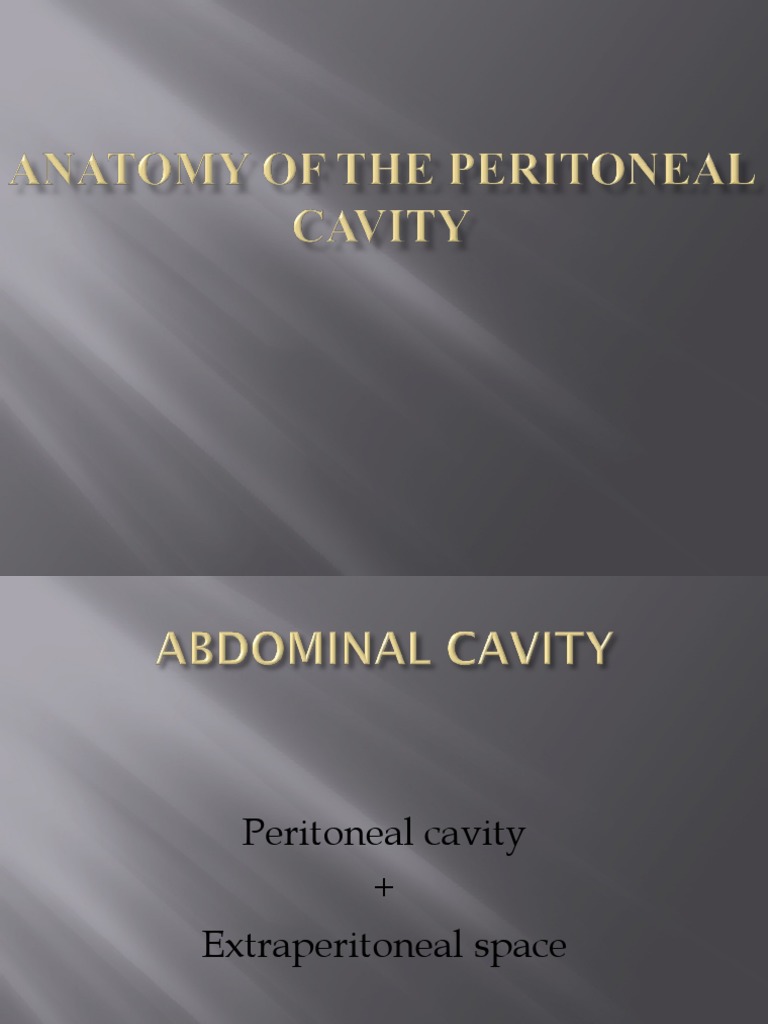 Anatomy of The Peritoneal Cavity & Organs | PDF | Liver | Pelvis