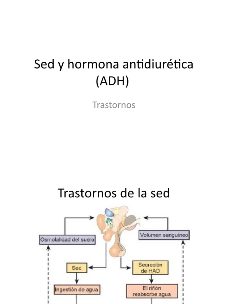 Sed y Hormona Antidiurética (ADH) | PDF