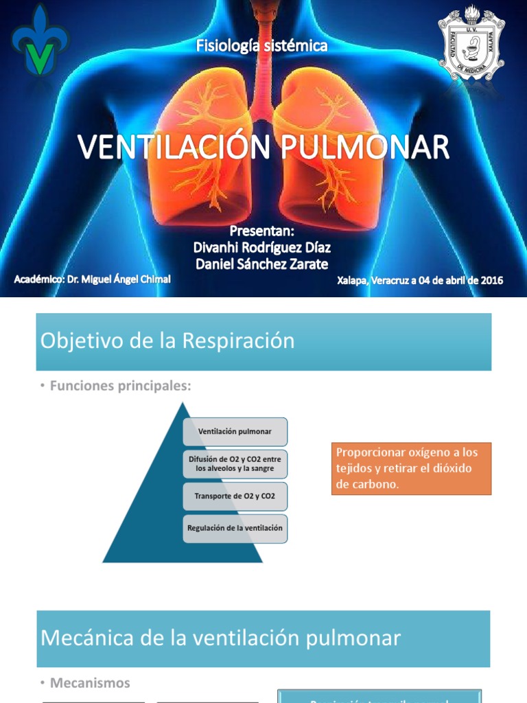 Ventilación Pulmonar | PDF | Pulmón | Sistema circulatorio