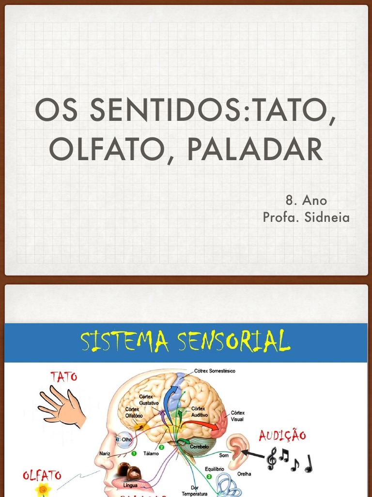 Os principais sentidos humanos: tato, olfato e paladar | PDF