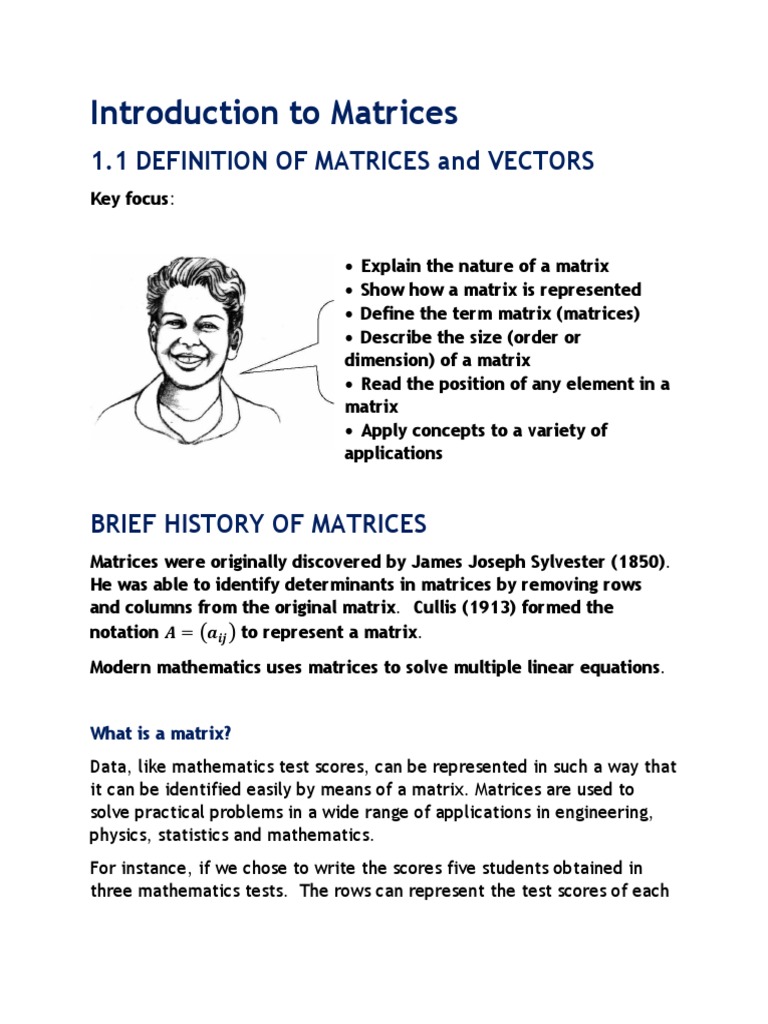 L1 Introduction To Matrices-1 | Descargar gratis PDF | Matrix (Mathematics) | Vector Space