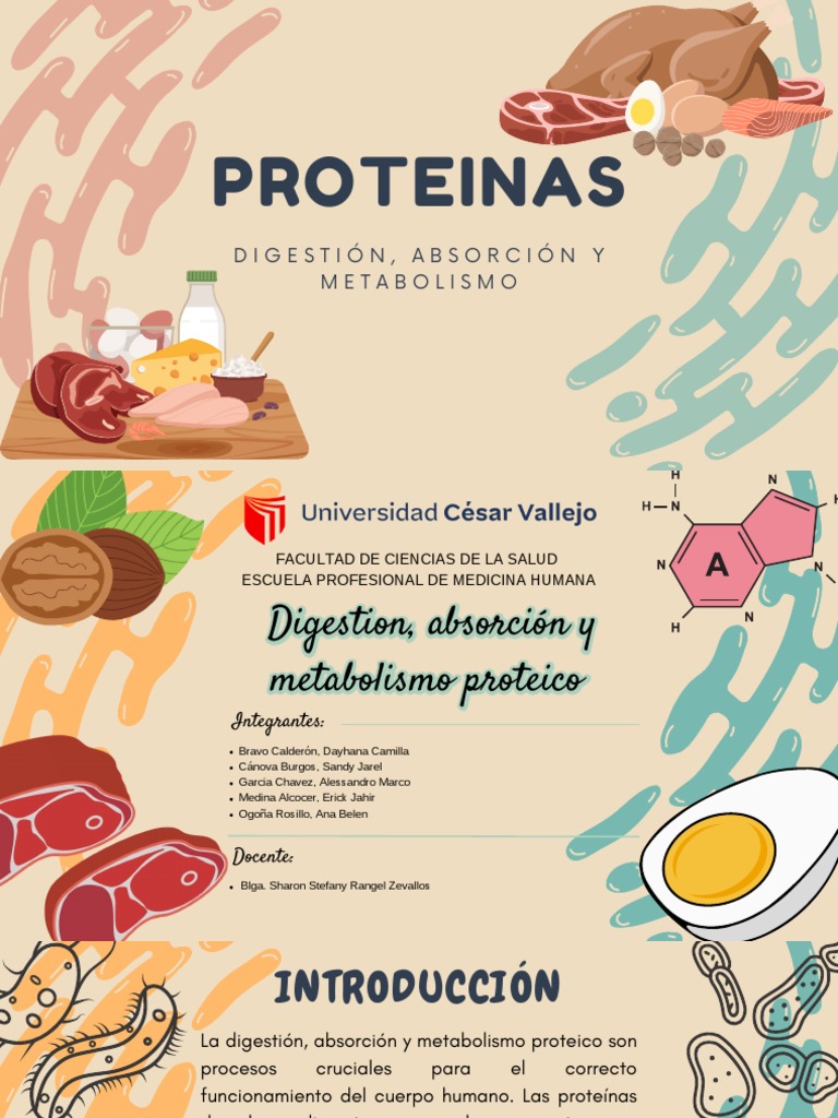 PROTEINAS | PDF