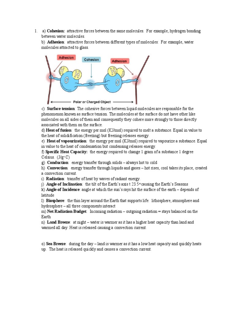 Properties and Dynamics of Water | PDF | Earth | Precipitation