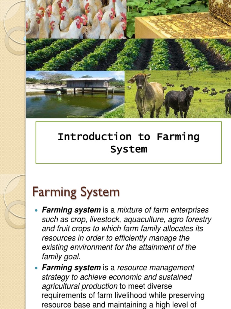 Intro Farming System | PDF | Agriculture | Crop Rotation