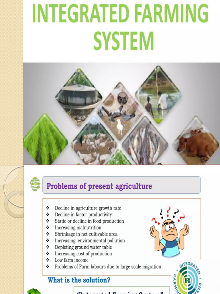 Integrated Farming System Final | PDF