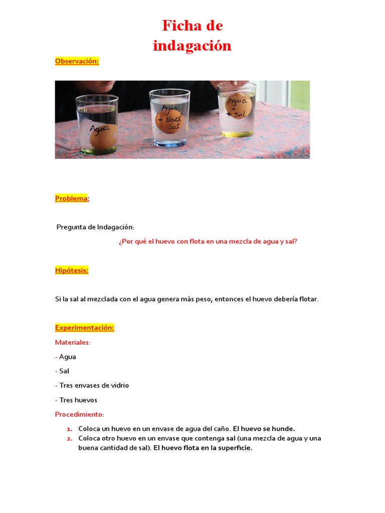 CTA Fichas de Indagacion | PDF