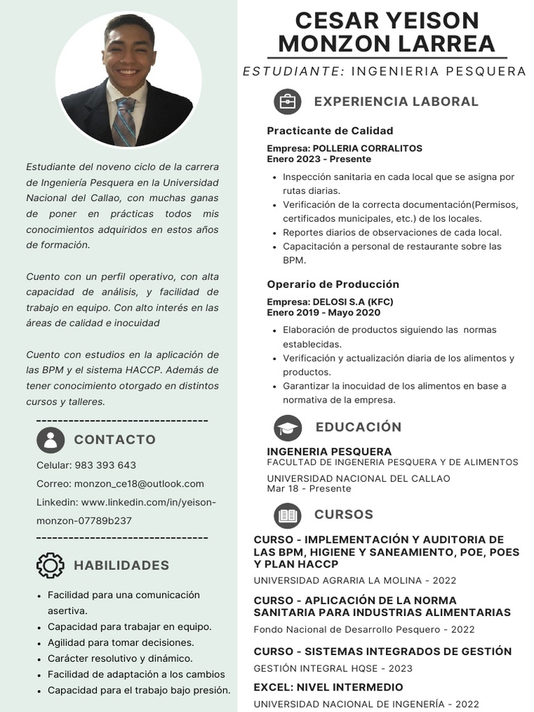 CV - Yeison Cesar Monzon Larrea | PDF | Análisis de Riesgo y Puntos ...
