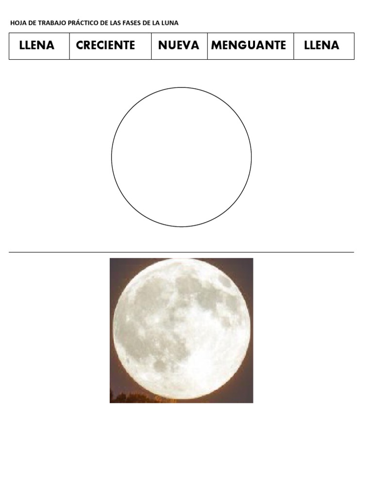 Trabajo Práctico de Las Fases de La Luna | PDF