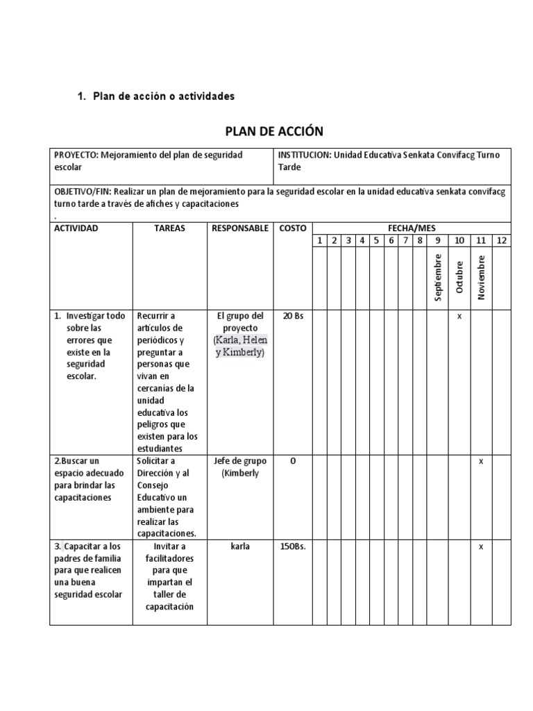 Plan de Accion | PDF