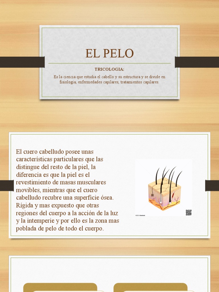 El Pelo | PDF | Pelo | Piel