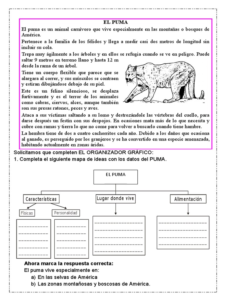 Ficha 15 Descripcion Del Puma | PDF
