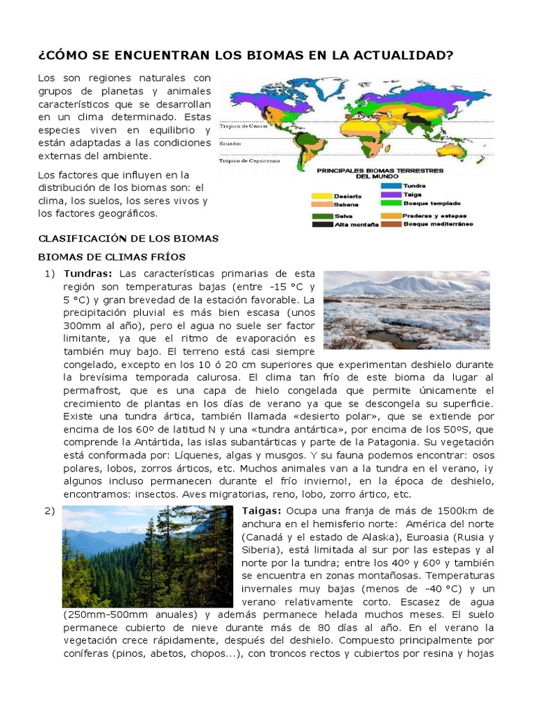 Los Biomas | PDF | Selva | Desierto