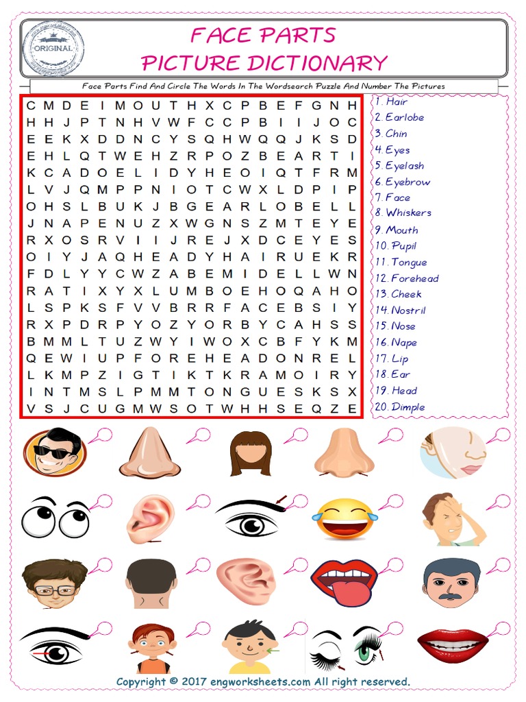 Face Parts Find and Circle The Words in The Wordsearch Puzzle and ...