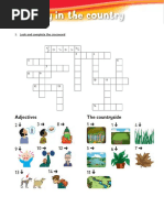 Kids Box 4 Tests | PDF