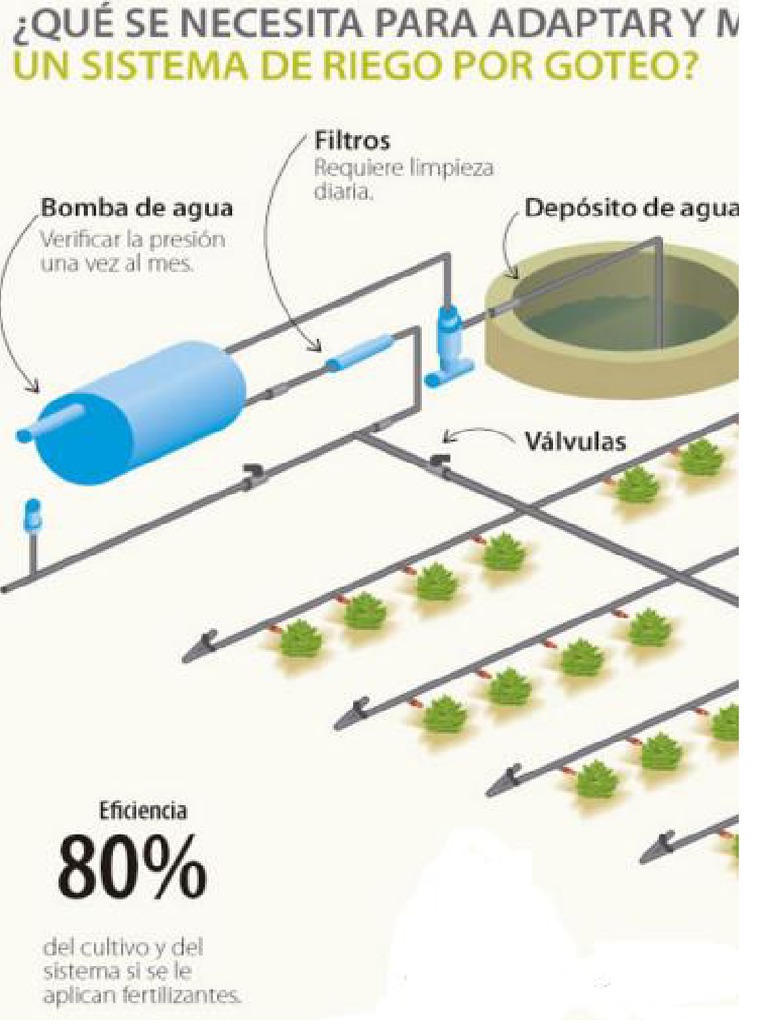 Sistema de Riego | PDF