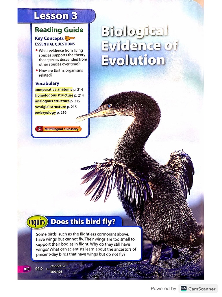 Lesson 3 - Biological Evidence of Evolut PDF | PDF Lesson 3 - Biological Evidence of Evolut PDF | PDF