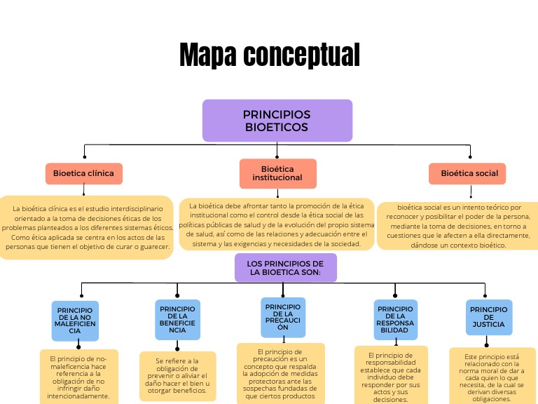 Mapa Conceptual | PDF