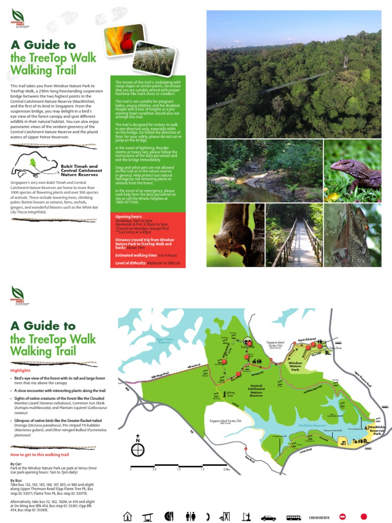 TreeTop Walk Eguide LRes | Download Free PDF | Botany | Organisms