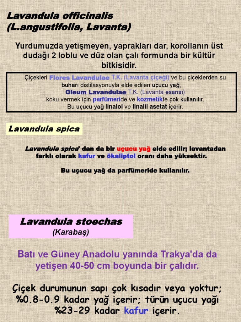 Farmasötik Botanik 14 | PDF