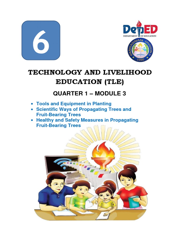 TLE G6 Q1 Module 3 | PDF