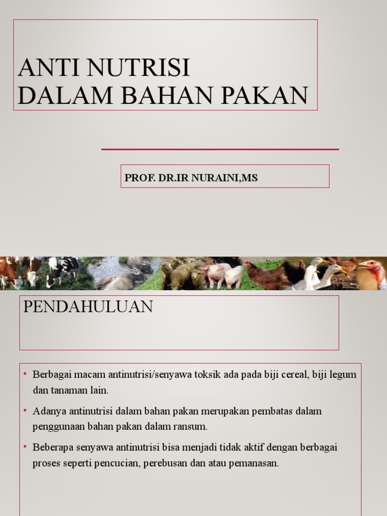 Antinutrisi Pada Pakan | PDF
