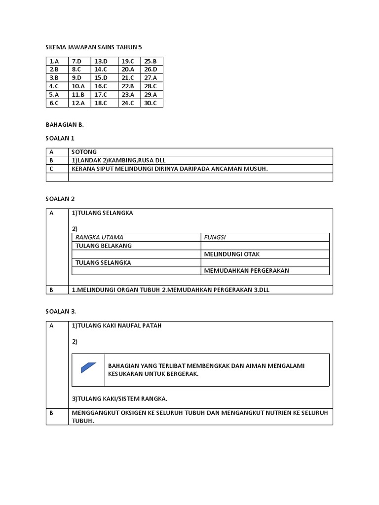SKEMA JAWAPAN SAINS TAHUN 5 SUMATIF 2022 | PDF