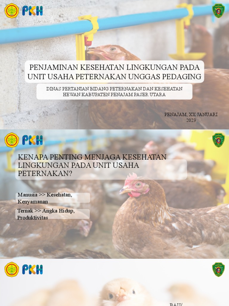 HIGIENE SANITASI KANDANG AYAM PEDAGING | PDF