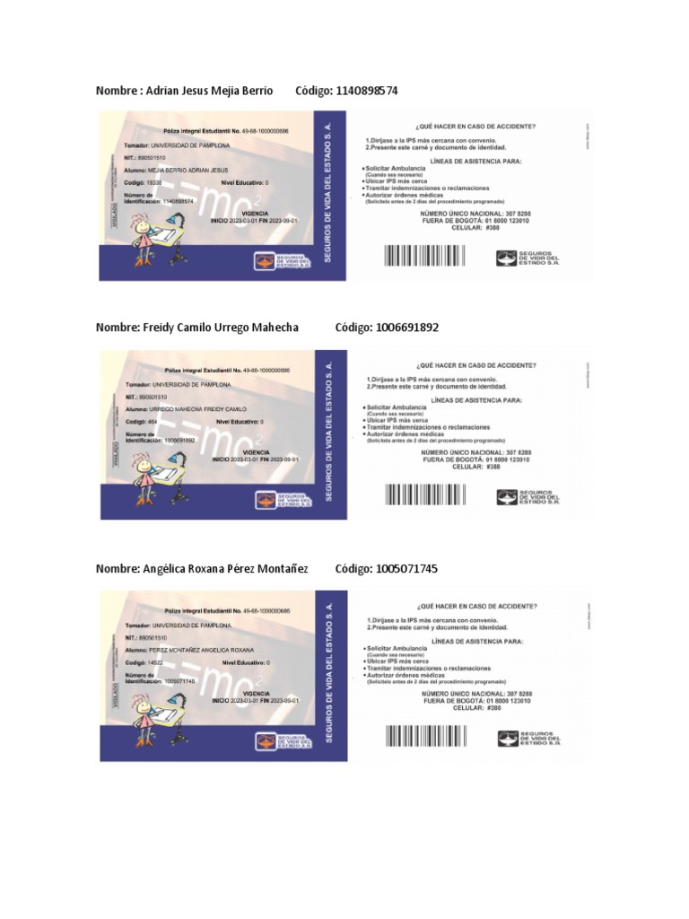 Carnet Estudiantil - Grupo A | PDF