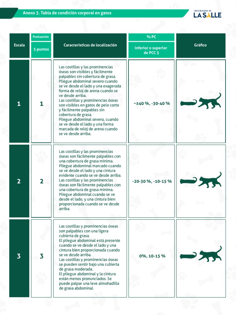 Condicion Corporal Gatos PDF | PDF