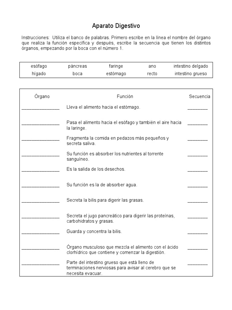 Sistema Digestivo | PDF