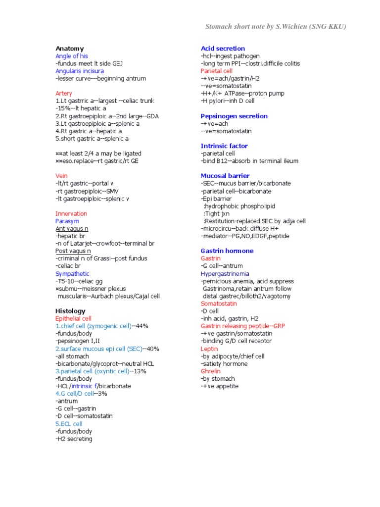 Parietal cell: Angle of his Angularis incisura