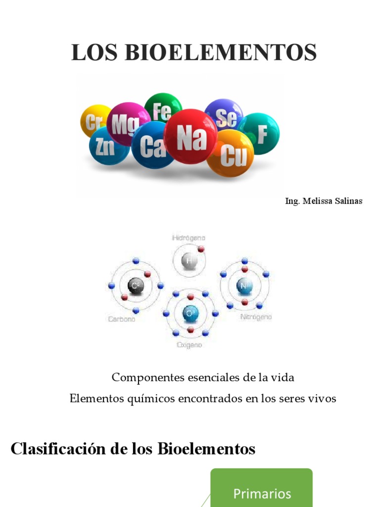 T5 - Bioelementos | PDF | Biomoléculas | Sangre