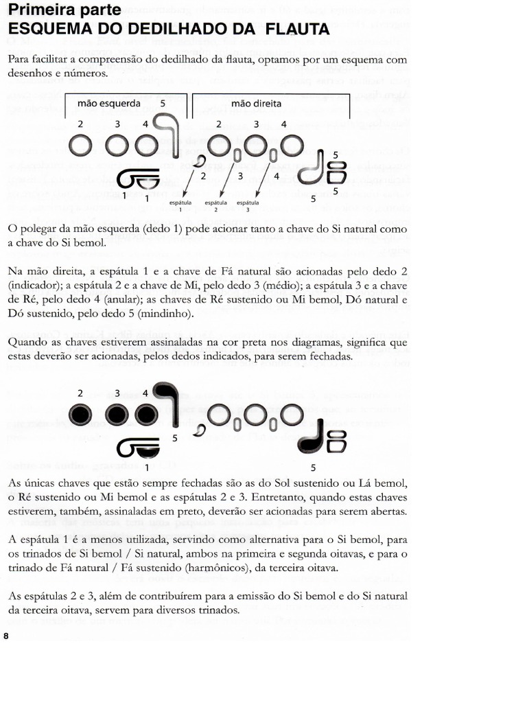 Partitura Flauta Doce CCB nº5 | PDF