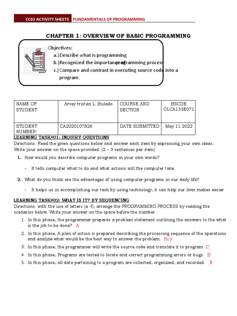 Chapter 1 Activity | PDF | Computer Programming | Software Bug