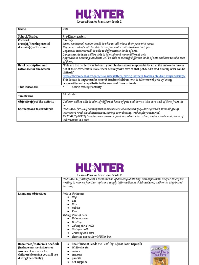 Lesson Plan 3 Literacy | PDF | Educational Assessment | Lesson Plan
