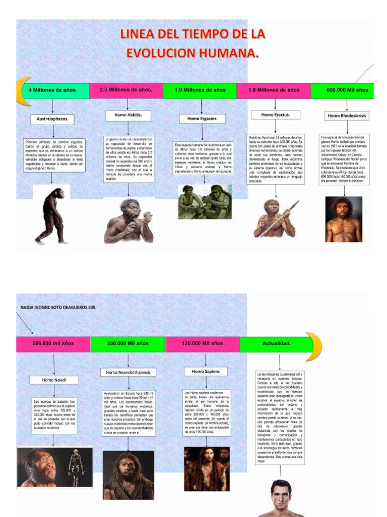 Linea de Tiempo PDF | PDF