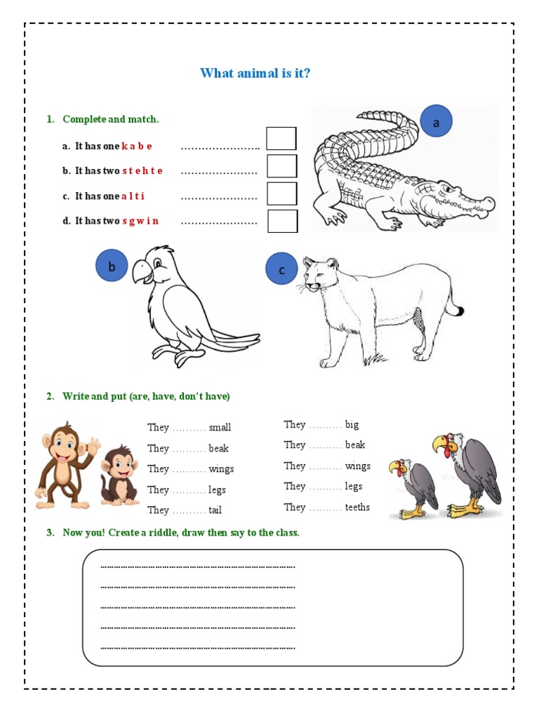 What Animal It Is | PDF