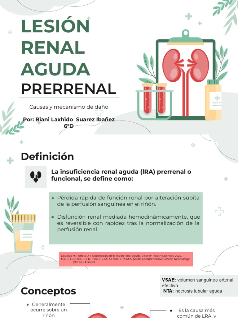 Lesión Renal Aguda Prerrenal PDF | PDF | Riñón | Fisiología