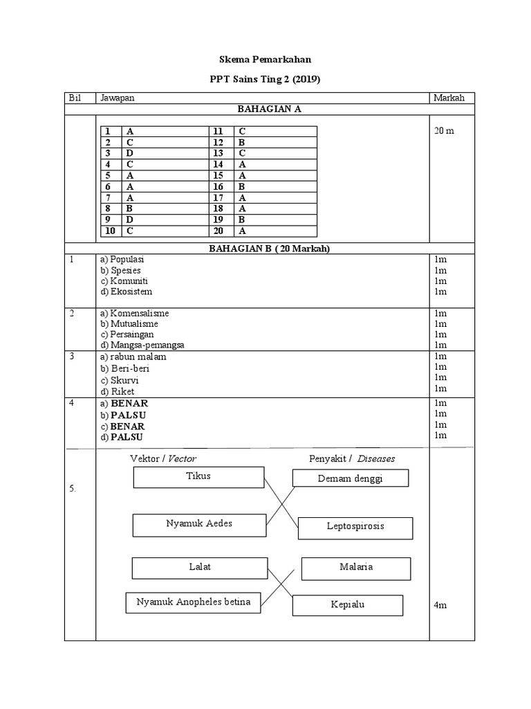 Skema Pemarkahan PPT SN T.2 (2019) | PDF
