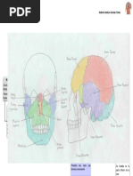 Región Geniana o Región de La Mejilla | PDF | Anatomía | Anatomía humana