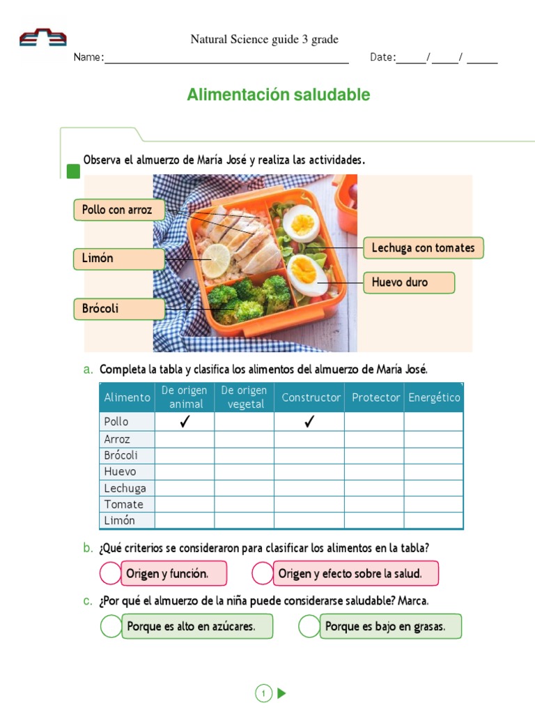 Guía 3 Tercero Básico | PDF | Alimentos | Obesidad