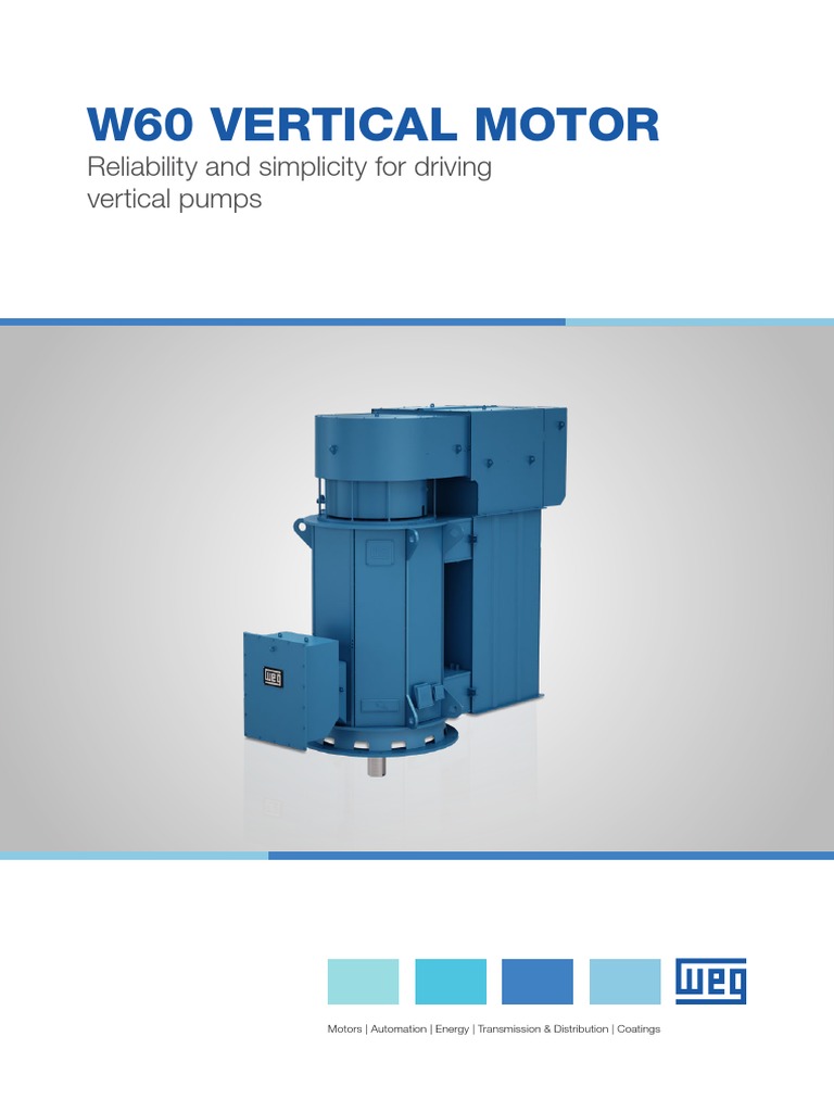 W60 Vertical Motor Overview | PDF | Electric Motor | Bearing (Mechanical)