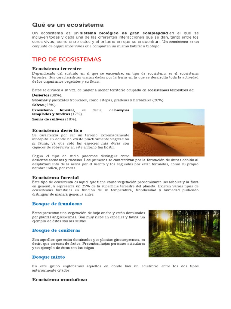 Qué Es Un Ecosistema | PDF | Ecosistema | Suelo