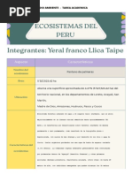 Ficha de Trabajo - Sabana Humeda Con Palmeras | PDF | Ecosistema | Sabana