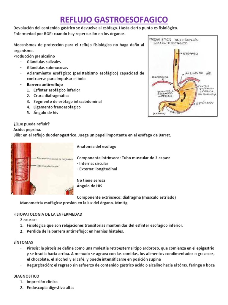 Apuntes Doctor Pimentel PDF | PDF
