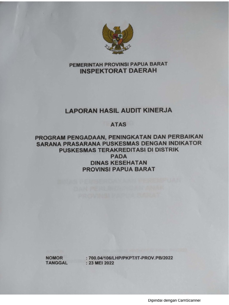 PDF-LHP Audit Kinerja | PDF