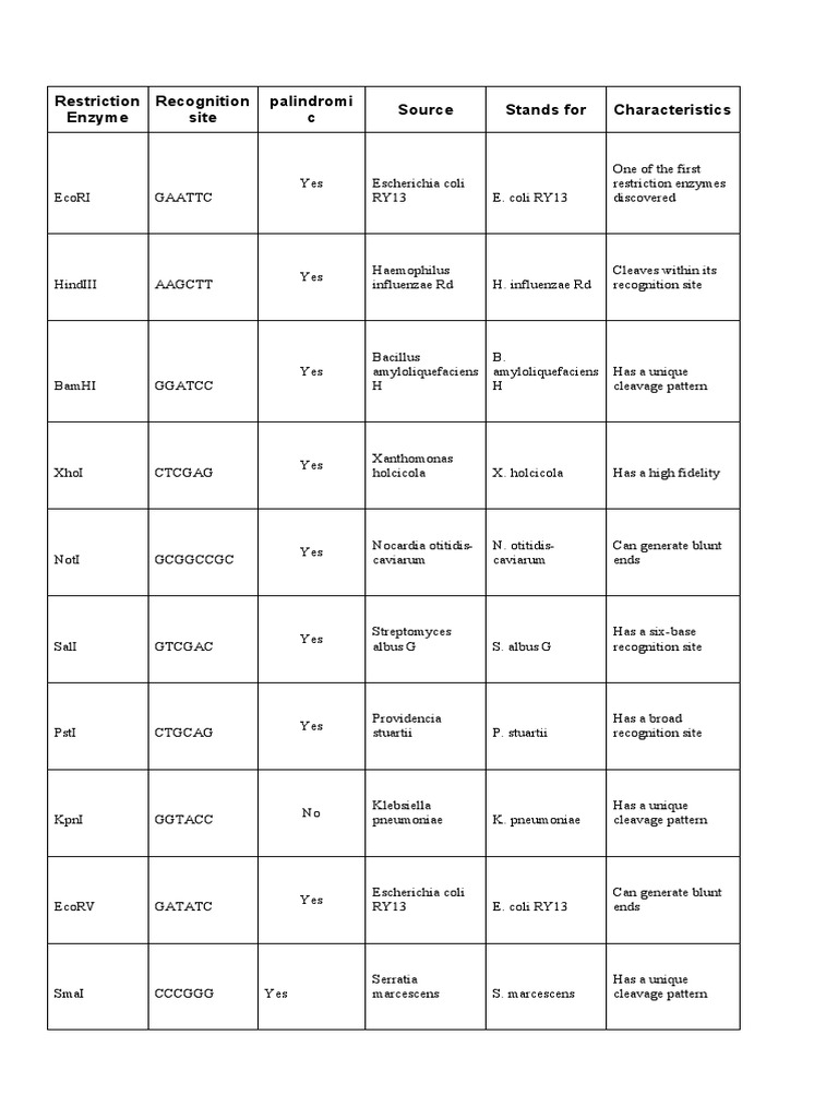 Restriction Enzyme | PDF | Blot (Biology) | Northern Blot