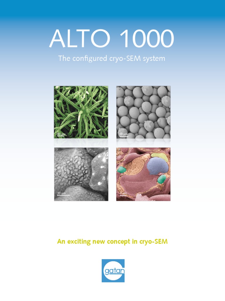 Alto 1000 | PDF | Scanning Electron Microscope | Solid