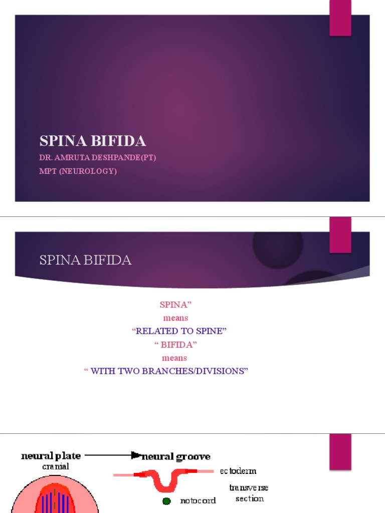 An In-Depth Look at Spina Bifida: Causes, Types, Clinical ...