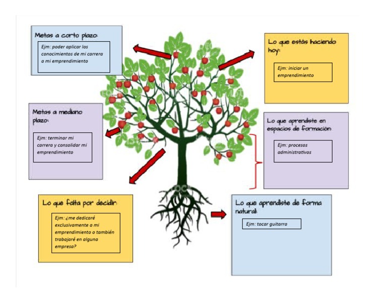 Esquema Del Árbol | PDF